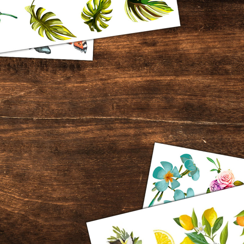 SanBao Studio - Premium Underglaze Transfers, Ceramic Decals