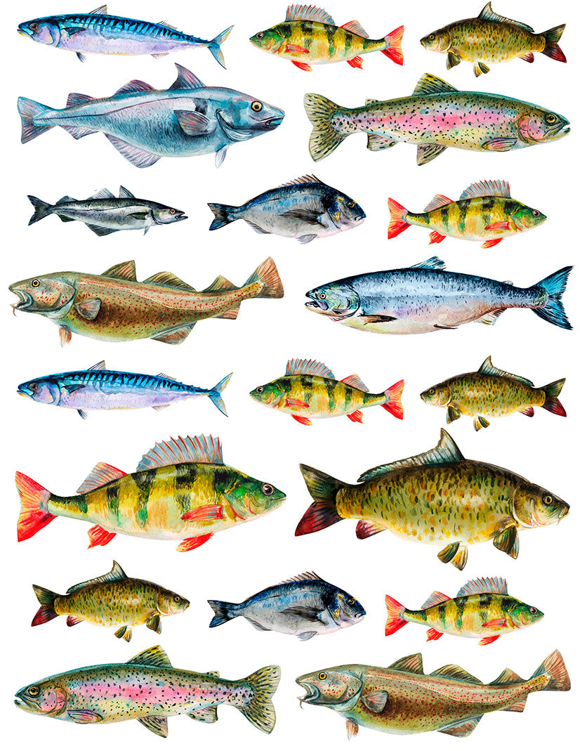 Lake Fish Chart
